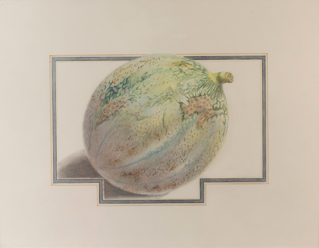 Melon - Mary-Anne Martin | Fine Art