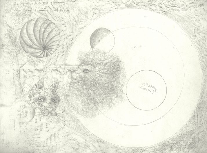 Leonora Carrington, Sketches from Down Below - Mary-Anne Martin | Fine Art